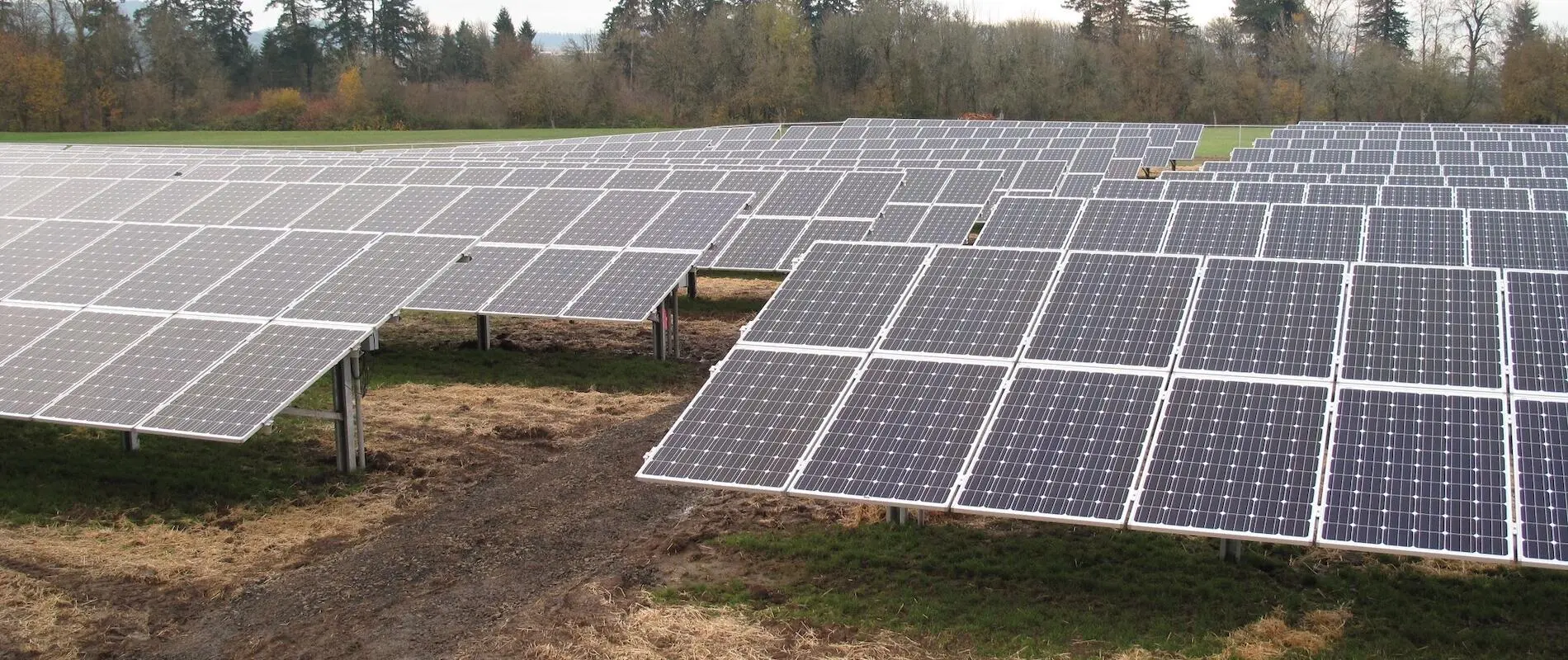 Talent | Oregon State University